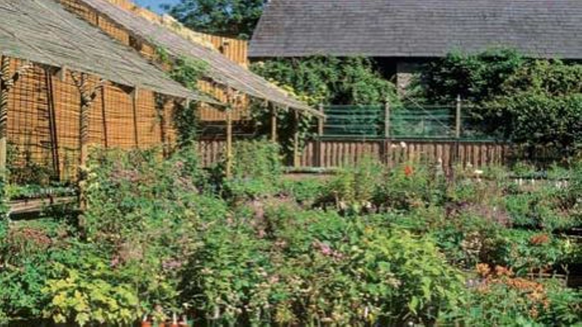 Crug Farm au Pays de Galles - RTBF Actus