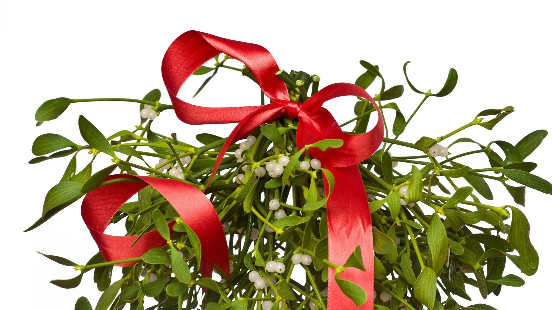 Le gui : d’où vient cette tradition de la Saint-Sylvestre ? - RTBF Actus