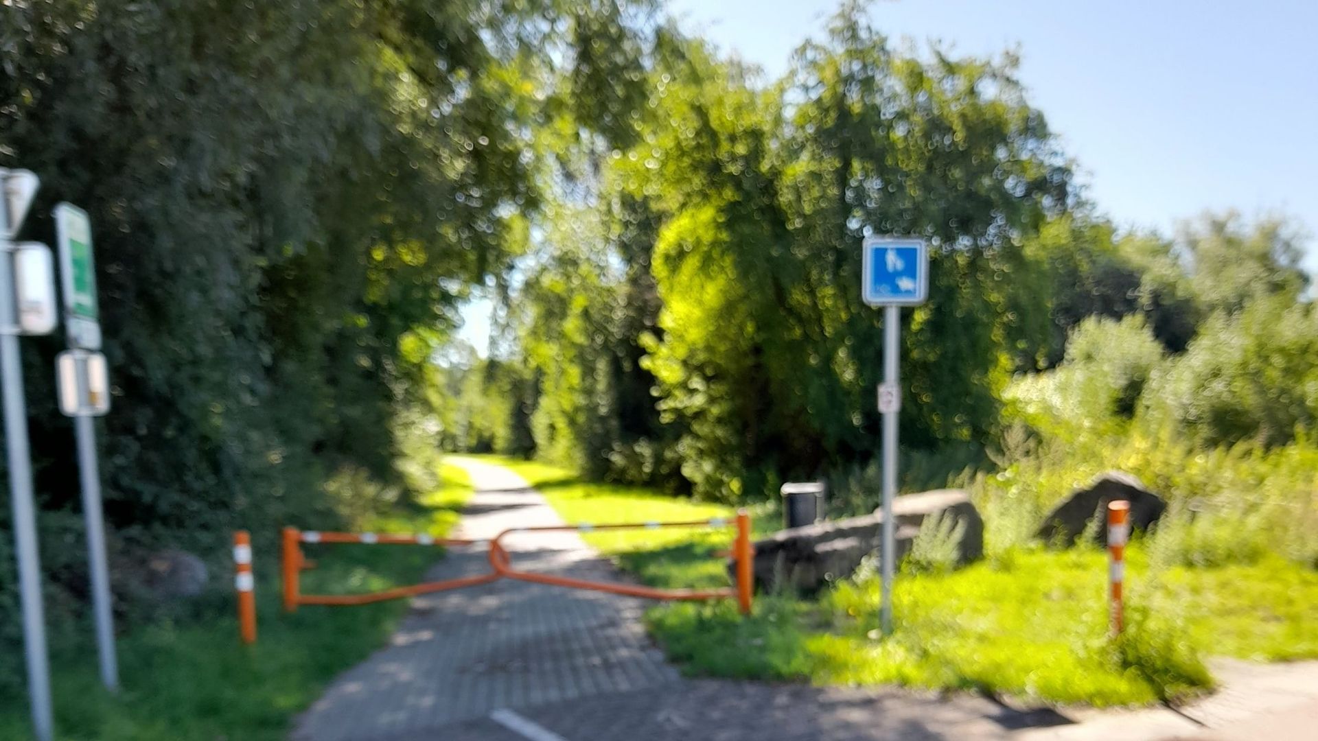 Les 7 marches Adeps du 15 août en Wallonie et à Bruxelles - RTBF Actus