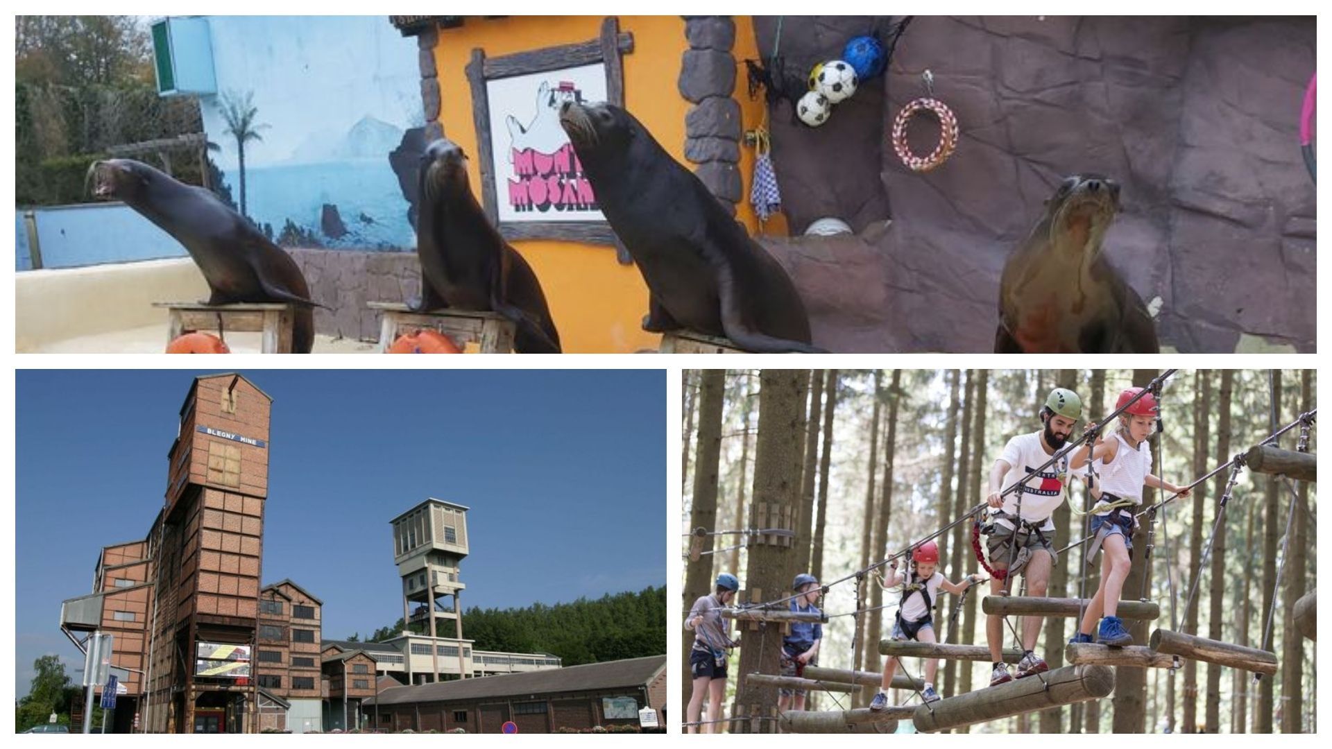 Malgré une météo mitigée, le bilan touristique de l'été est ...