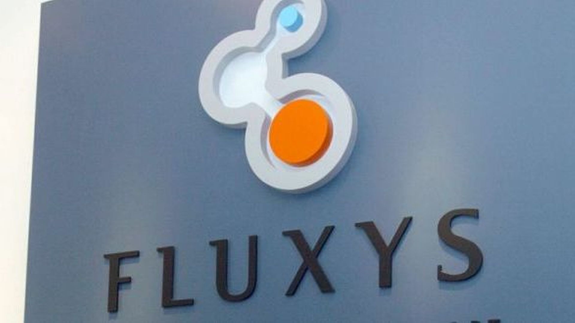 Une directive européenne devenant loi augmenterait les bénéfices d'Elia ...