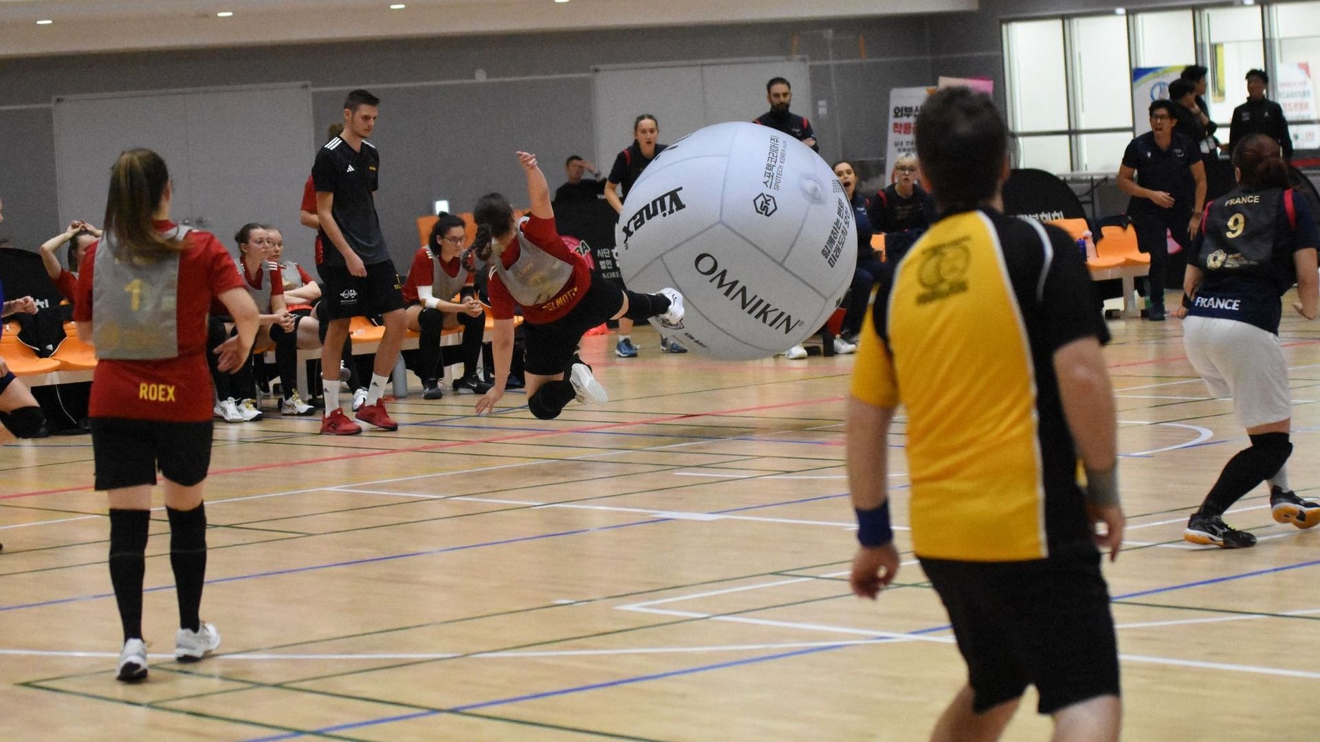 Kin-Ball : la Belgique 3e du monde… Chez les hommes et les dames ...