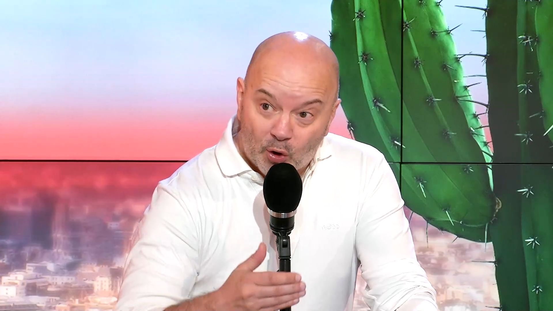 Le Cactus : Jérôme de Warzée imagine la Belgique après un an d’une ...