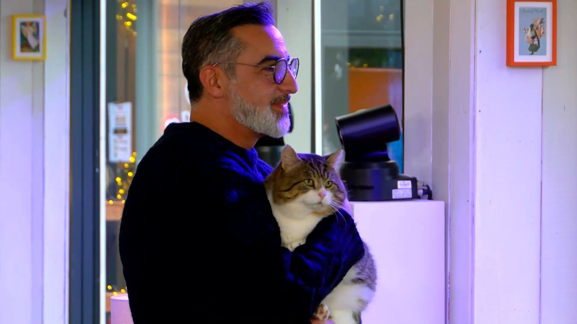 Meet Spatula: The New Cat at Viva for Life Cube from "Hair and Mustache ...