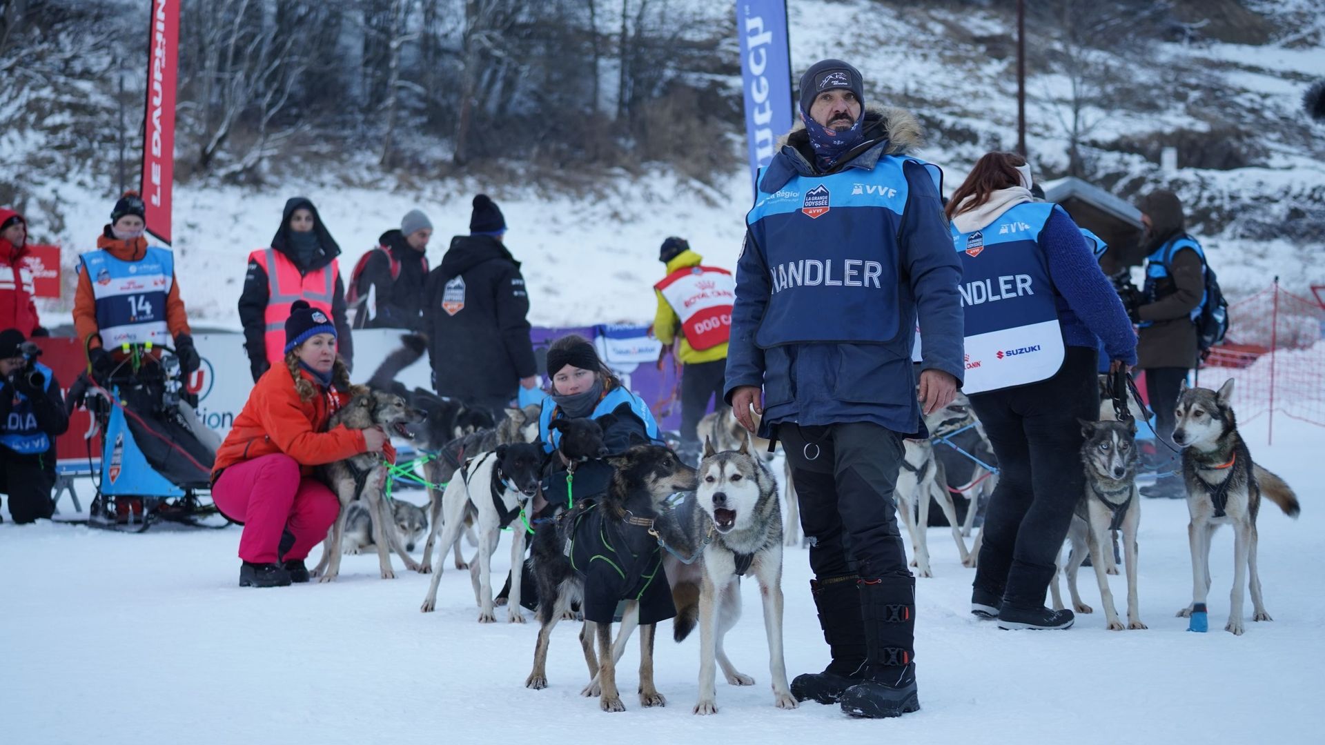 Des mushers belges à La Grande Odyssée - RTBF Actus