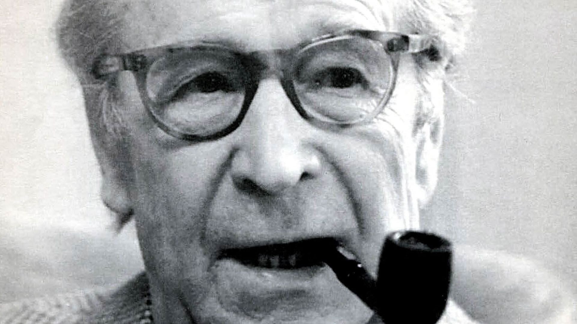 'L'amour et les forêts', tragédie moderne et vibrant portrait de femme ...