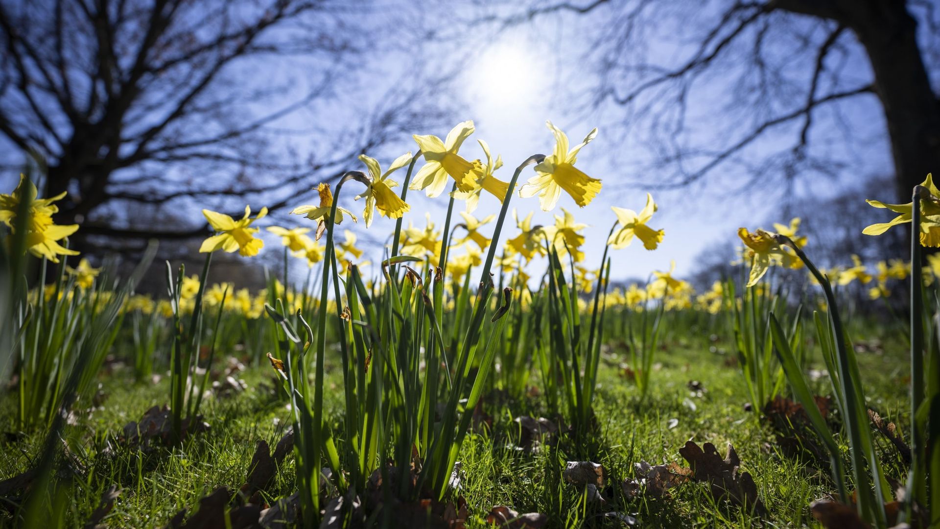 Des pistes cyclables bondées quand il fait beau… et vides quand il ...