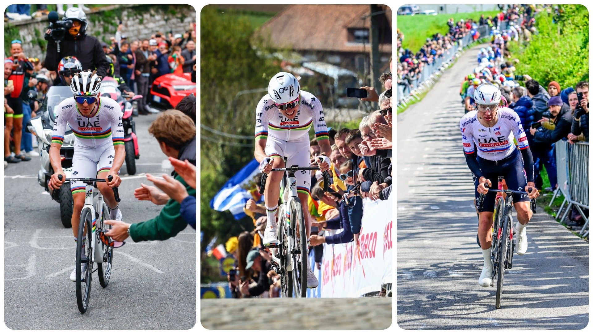 Lotto Cycling Team en passe de retrouver le WorldTour en 2026 : 'ce ...