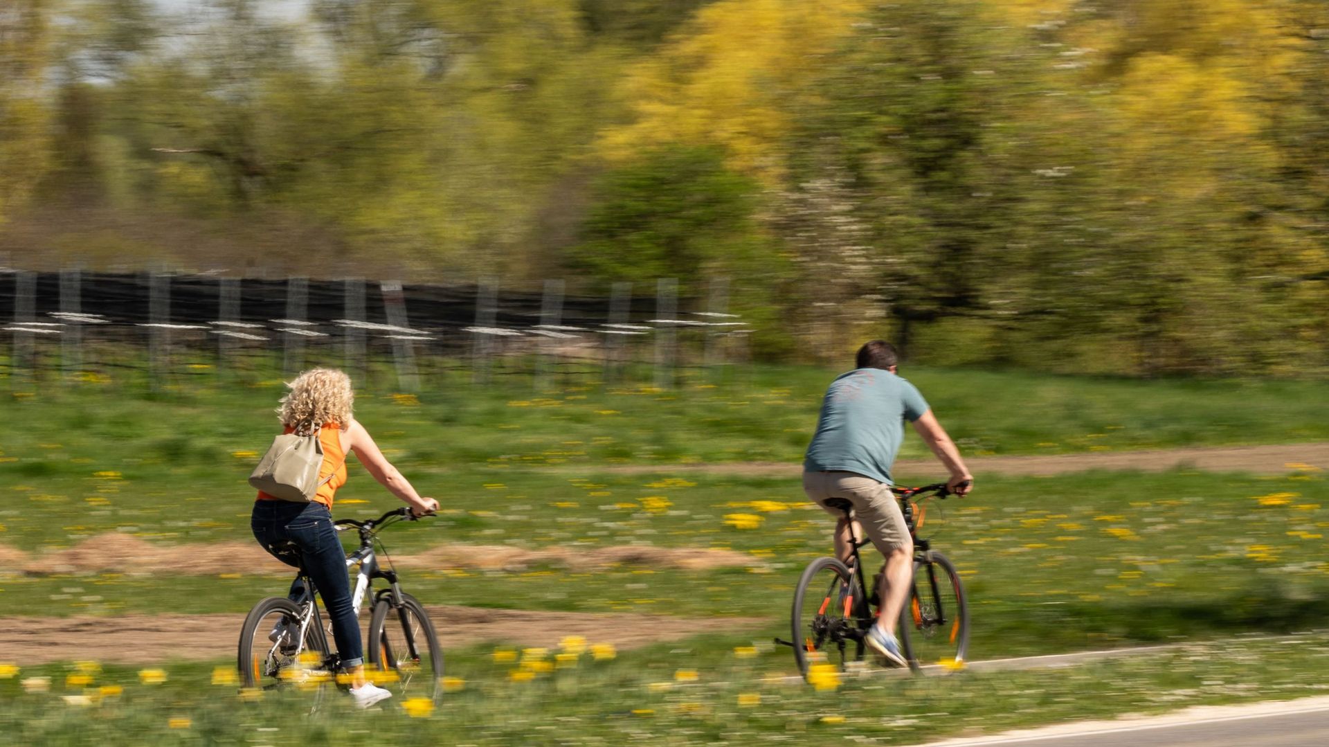 Suivez et commentez en direct le JT de 13h - RTBF Actus