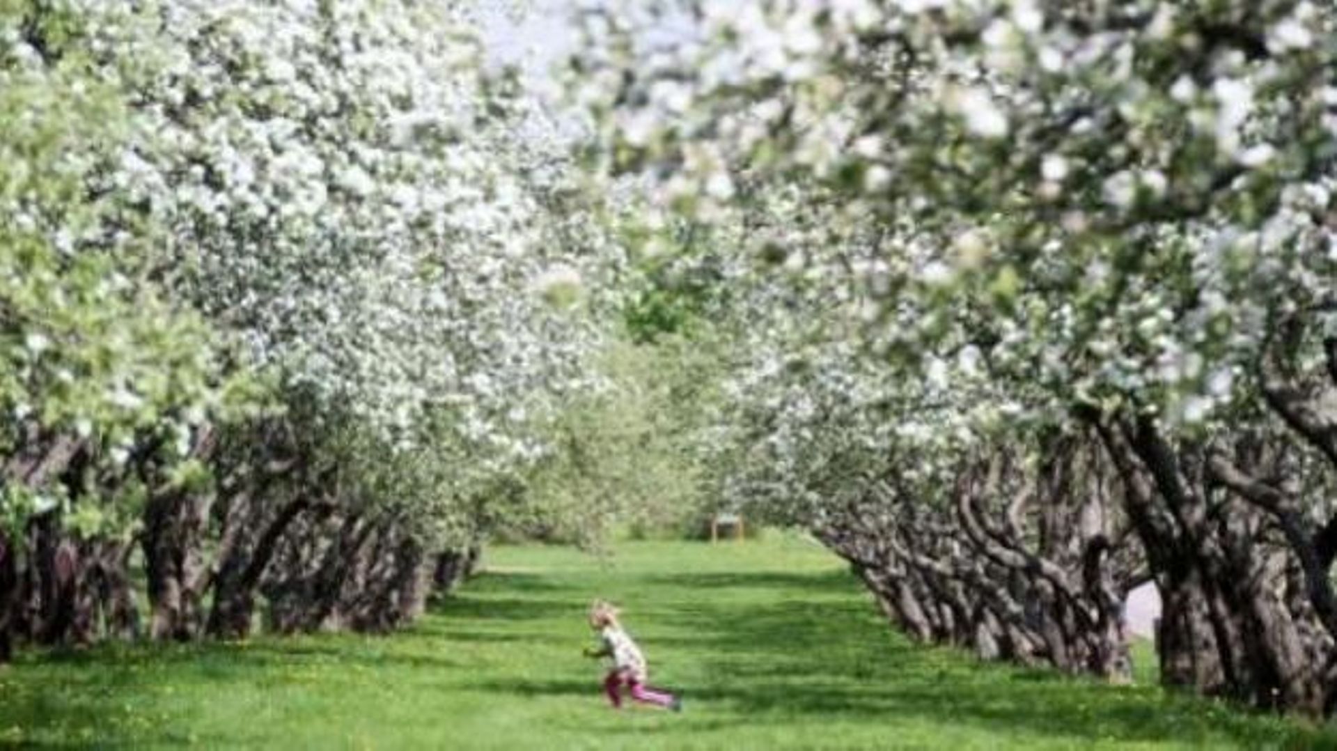 Météo: un temps sec avec des périodes ensoleillées - RTBF Actus