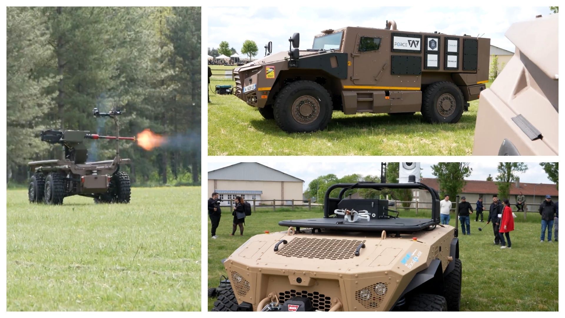 Un œil sur demain : enlever les mauvaises herbes avec l'intelligence ...