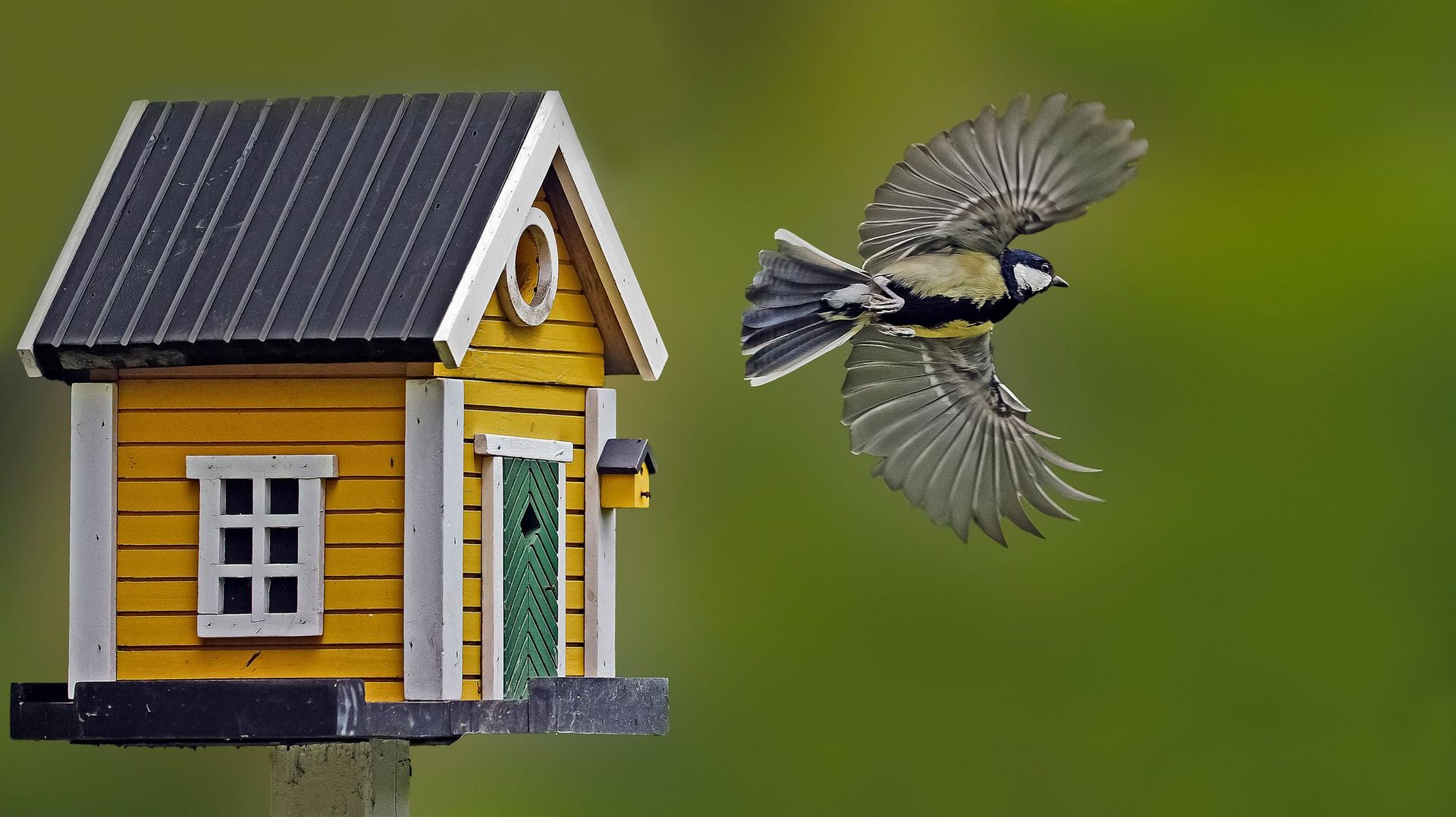 DIY Enfants : et si on fabriquait une mangeoire à oiseaux? - RTBF Actus