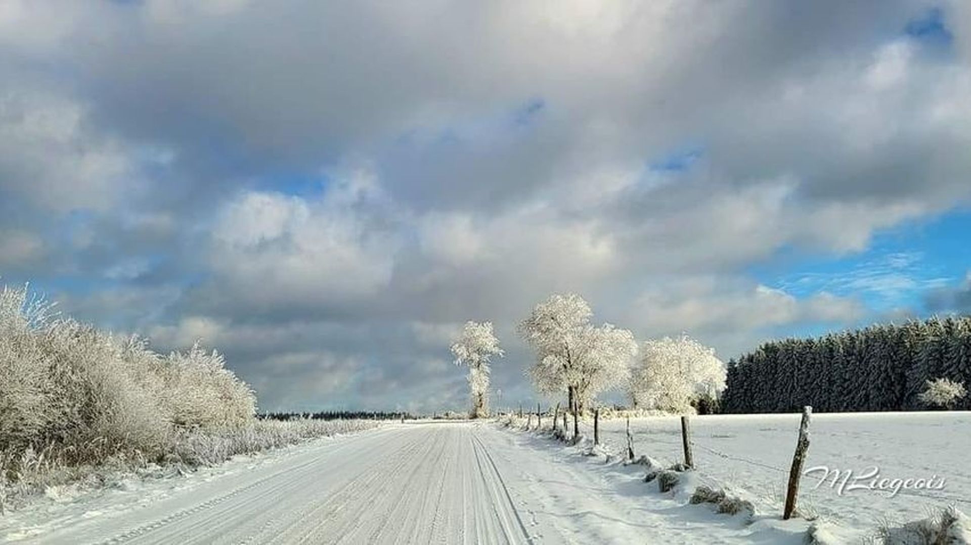 Neige en Belgique : les plus belles images de ce mercredi, entre ...