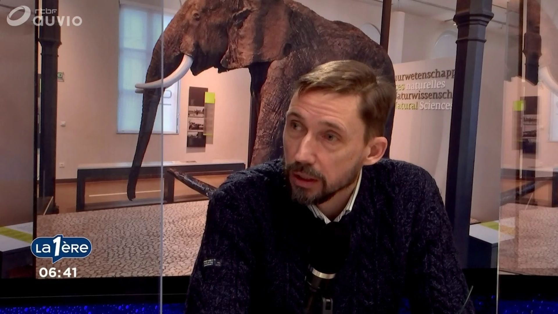 Une défense d’éléphant découverte en mer du Nord : 'C’est une pièce ...
