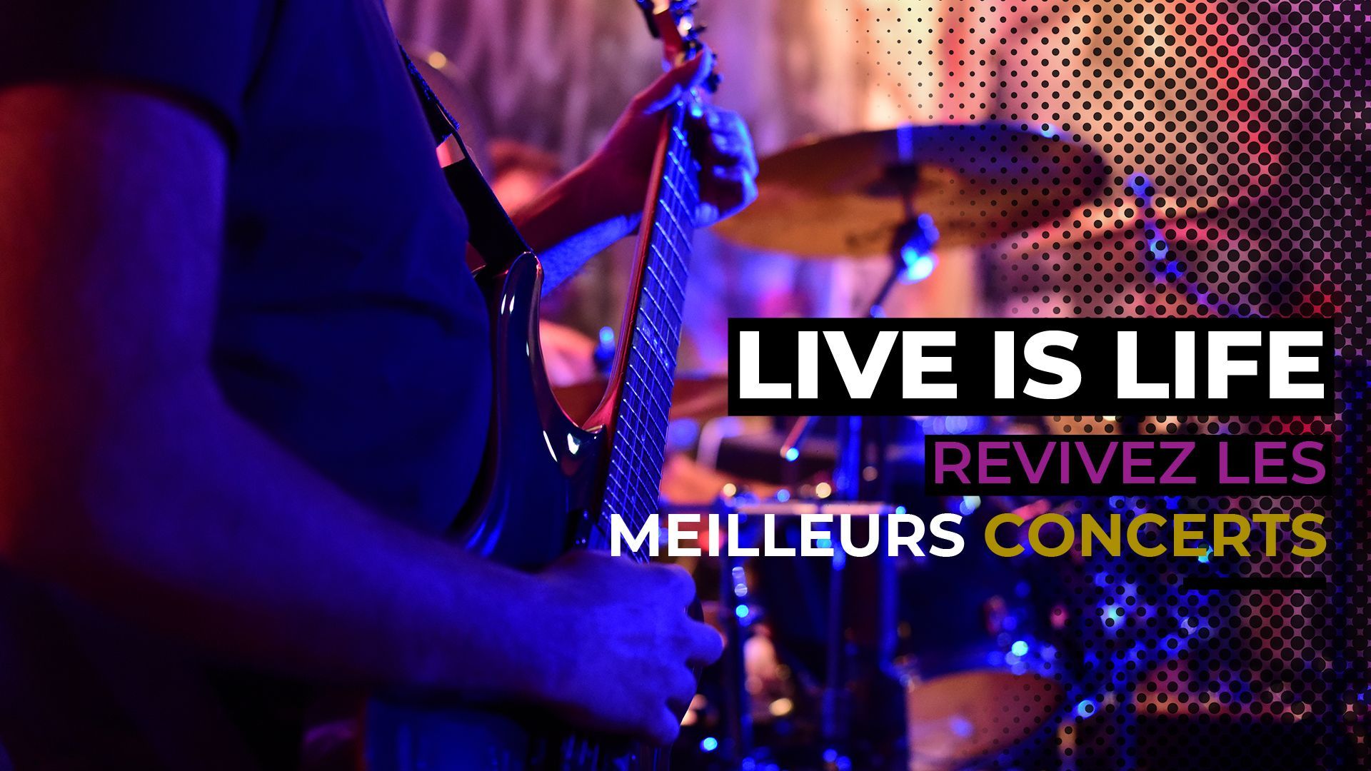 Live is Life : les meilleurs concerts - RTBF Actus