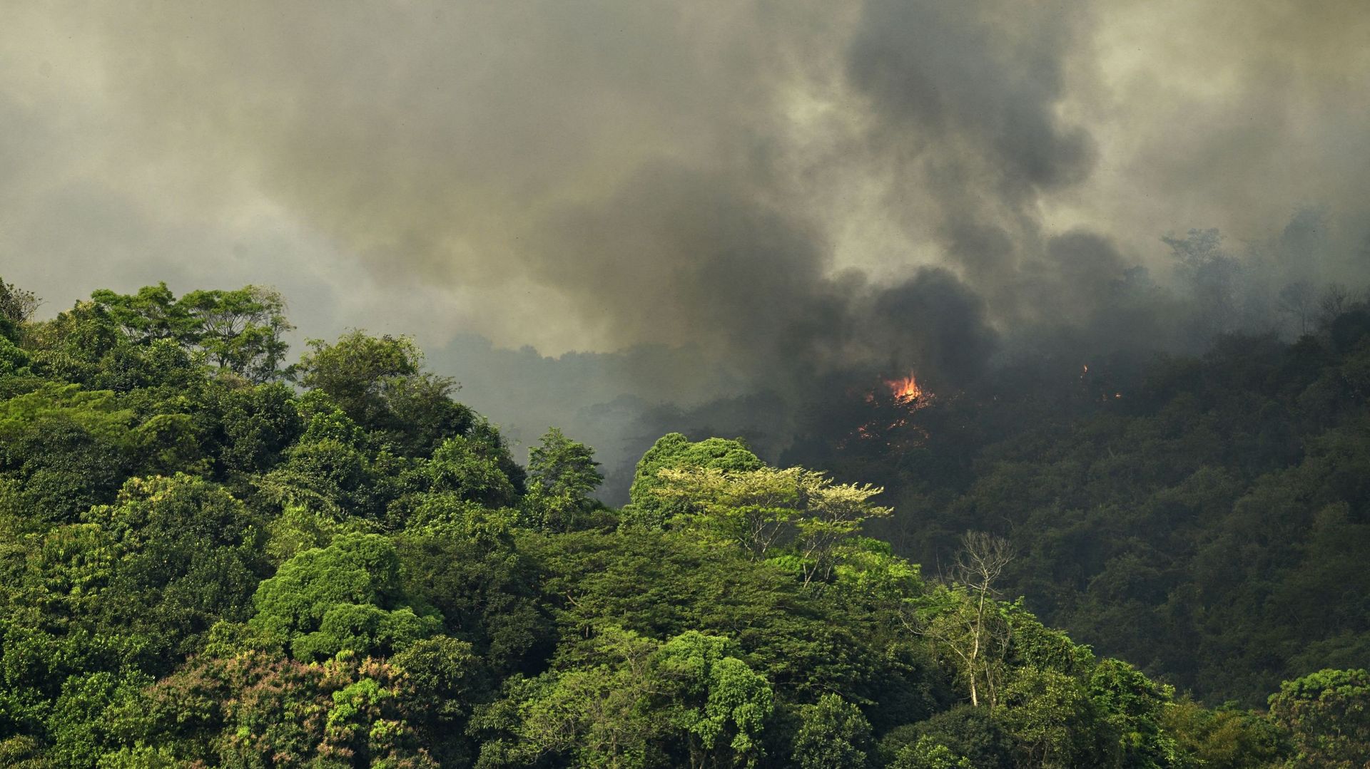 Une partie du Brésil brûle, le pays lutte, les records sont atteints ...