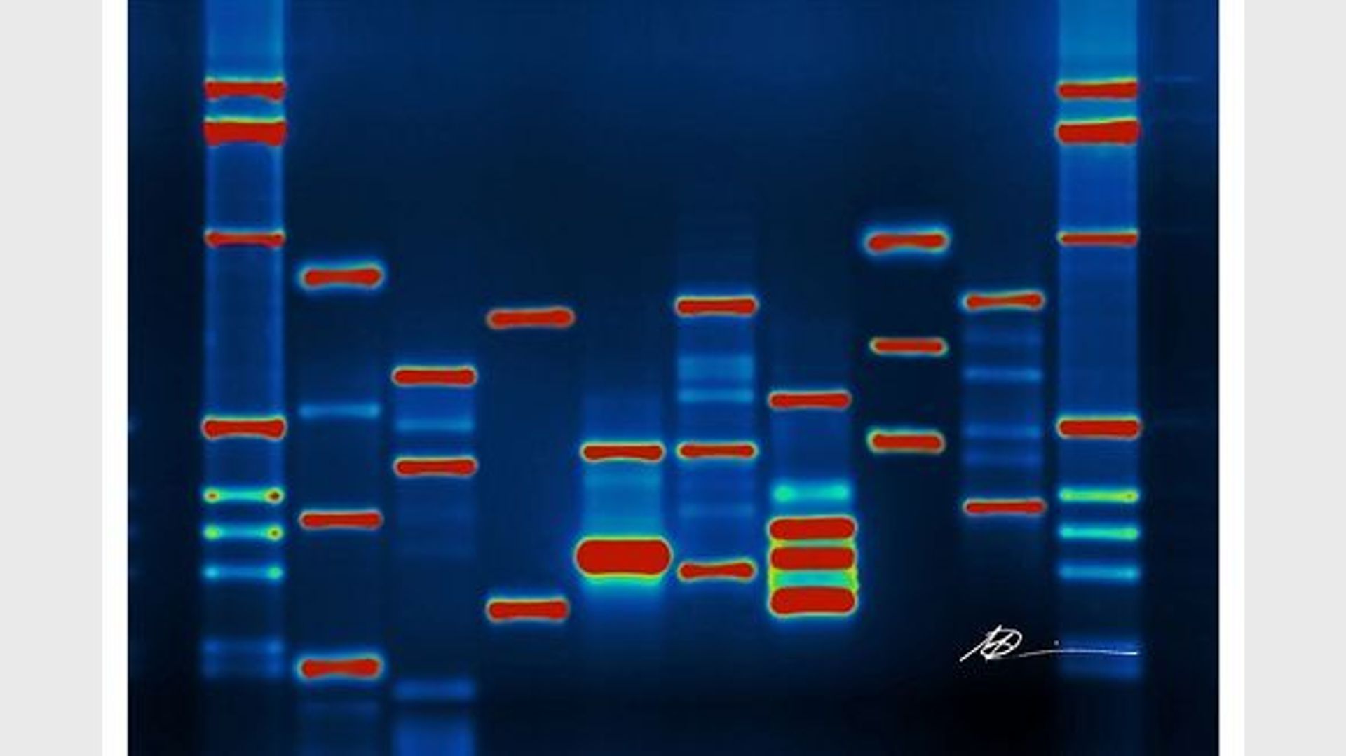 L'ADN peut désormais être identifié en quatre heures - RTBF Actus