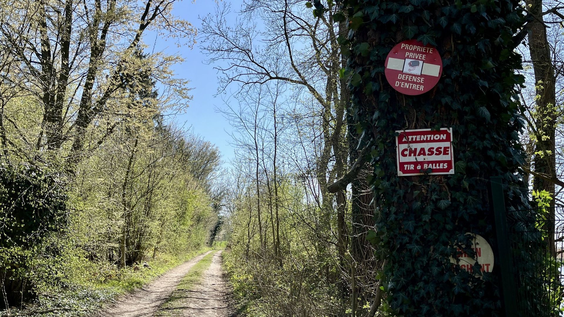 11 points pour reconnaître une personne sensible - RTBF Actus