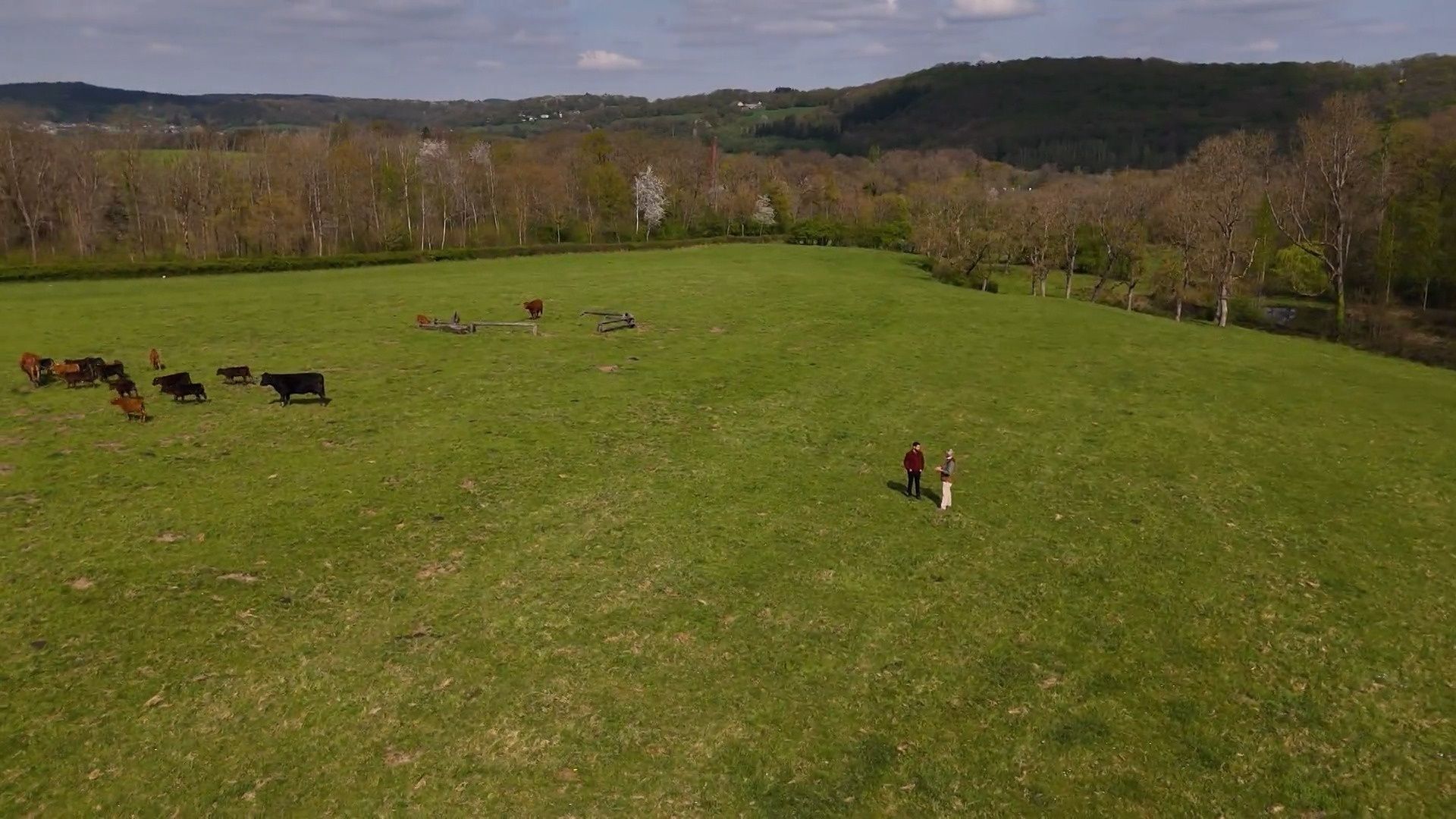 Dix ans après “La Clef des Champs” : qu’est devenu Juan de Hemptinne de ...