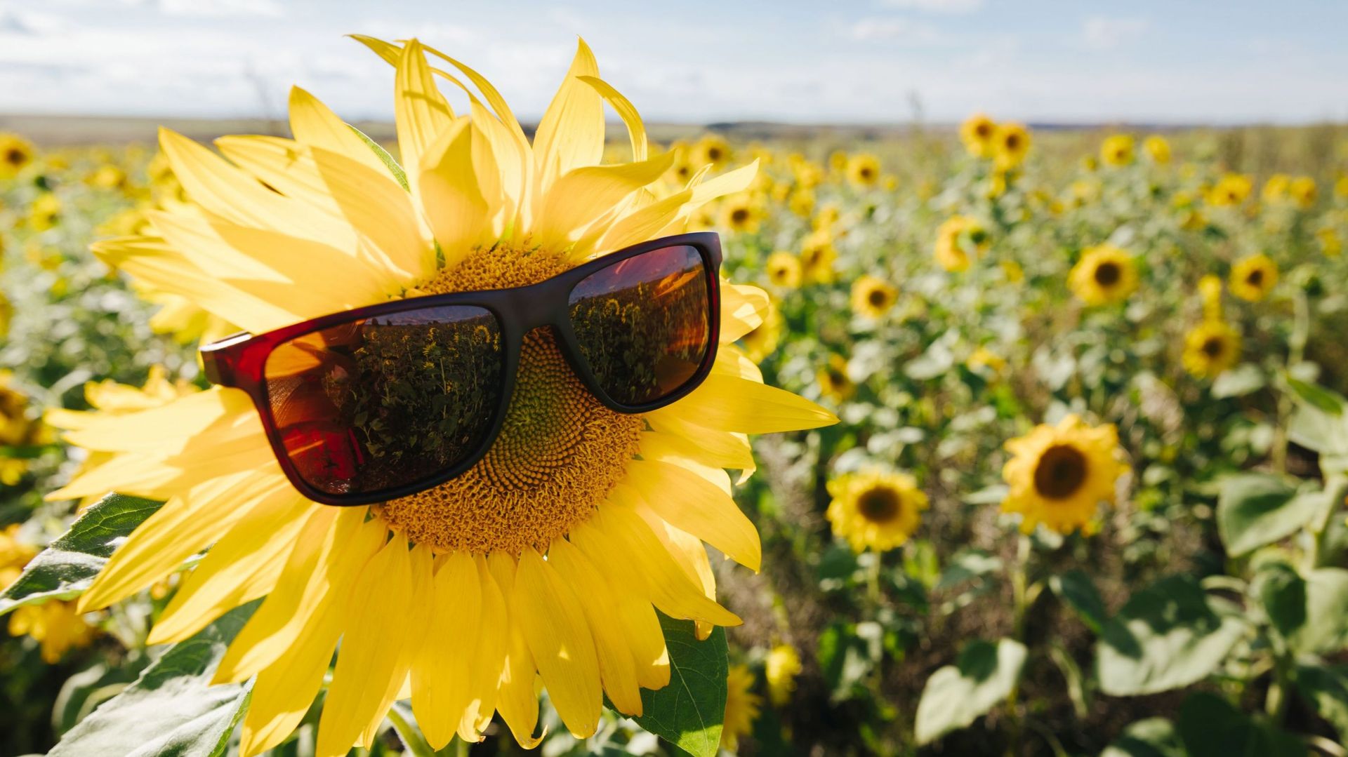 Le top des bonnes nouvelles de la semaine : 5 infos positives en guise ...