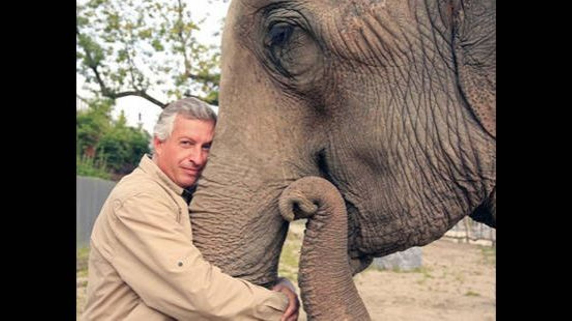 Eric Domb, patron de Païri Daïza - RTBF Actus