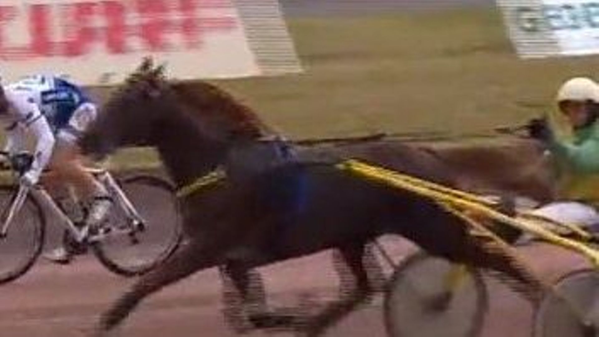 Jimmy Casper battu par un cheval - RTBF Actus
