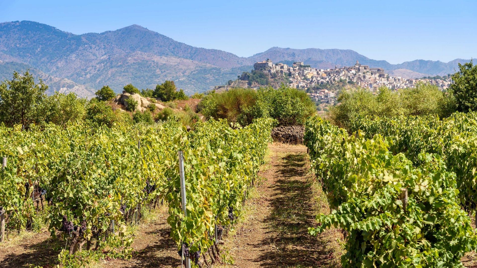 Aiseau-Presles : un salon gourmand autour du vin et du fromage du 7 au ...