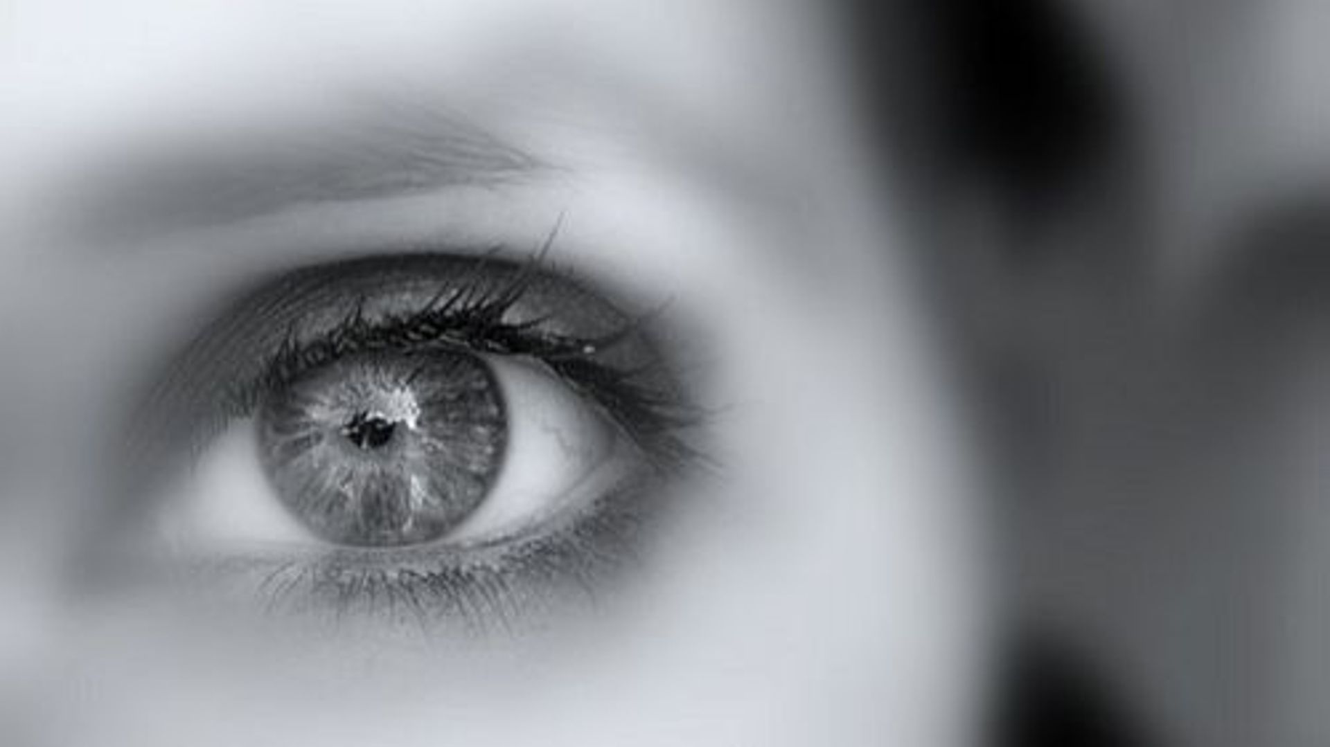 L'oeil sera-t-il la caméra de demain ? - RTBF Actus