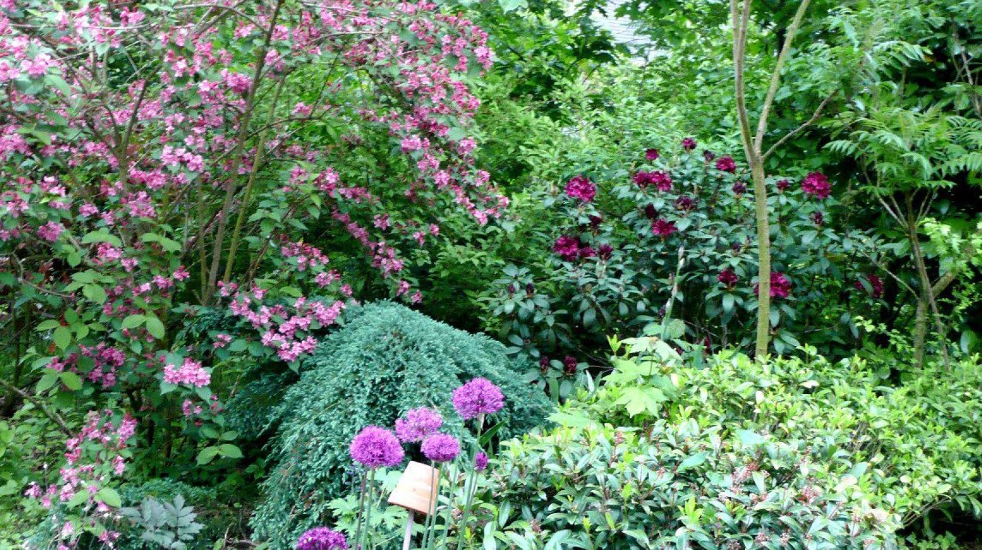 Betty, la jardinière qui partage ses coups de coeur avec ses 'potes aux ...