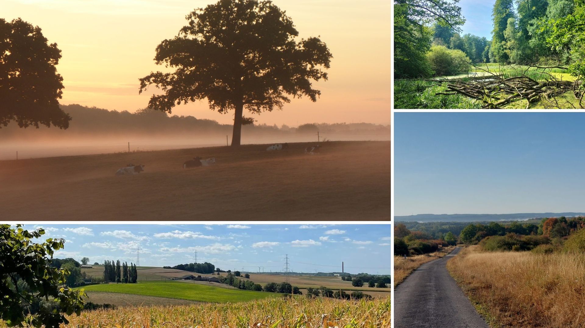 Les 21 marches Adeps du dimanche 7 septembre en Wallonie - RTBF Actus