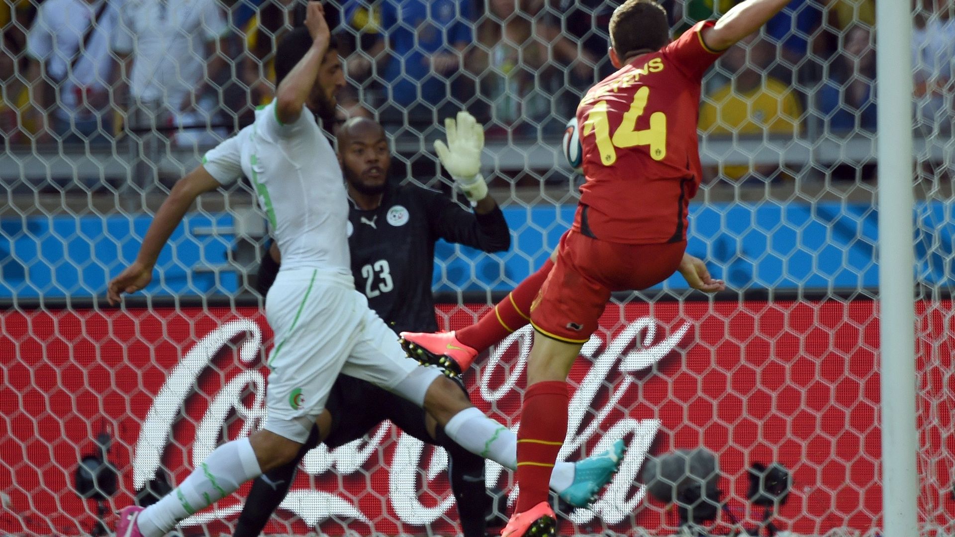 Les chiffres de la victoire belge contre l'Algérie - RTBF Actus