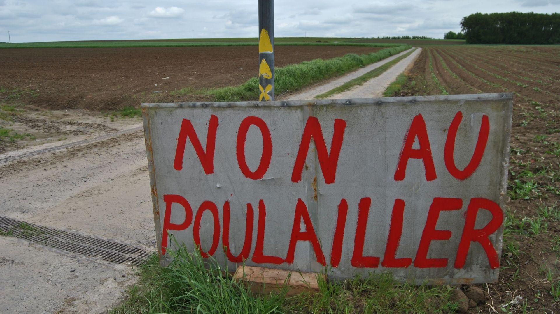 Poulailler industriel à Marquain: Kipland retente sa chance - RTBF Actus
