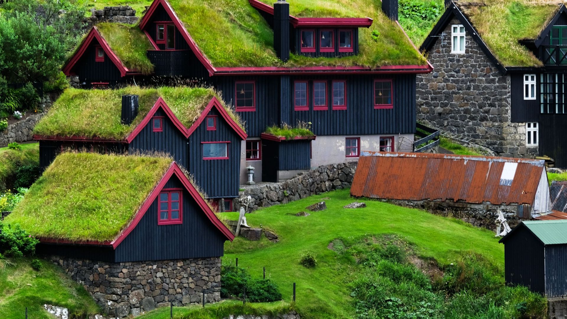 Aux Îles Féroé, des toits végétalisés pour faire face au changement ...