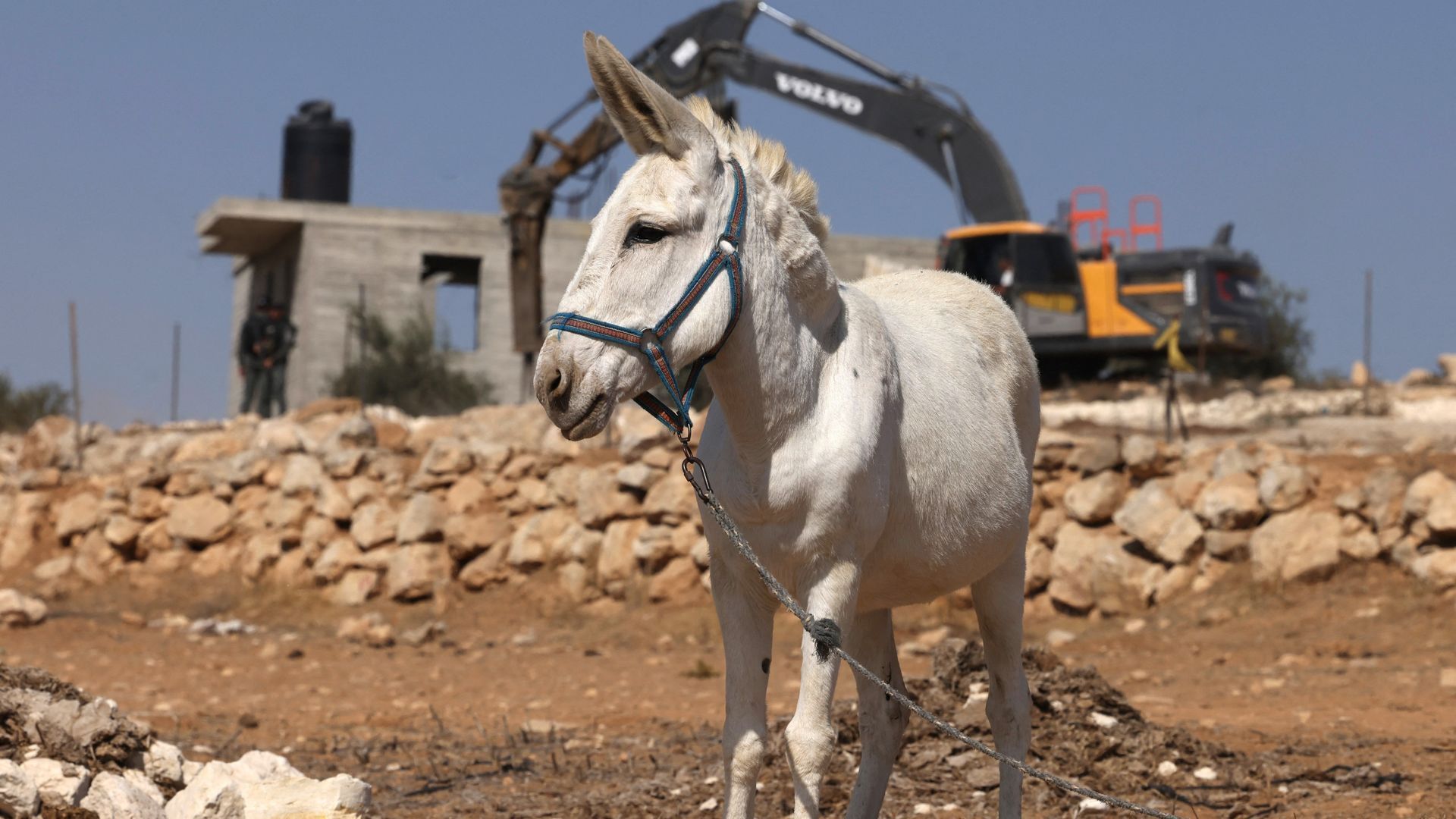 Profils de la semaine - RTBF Actus