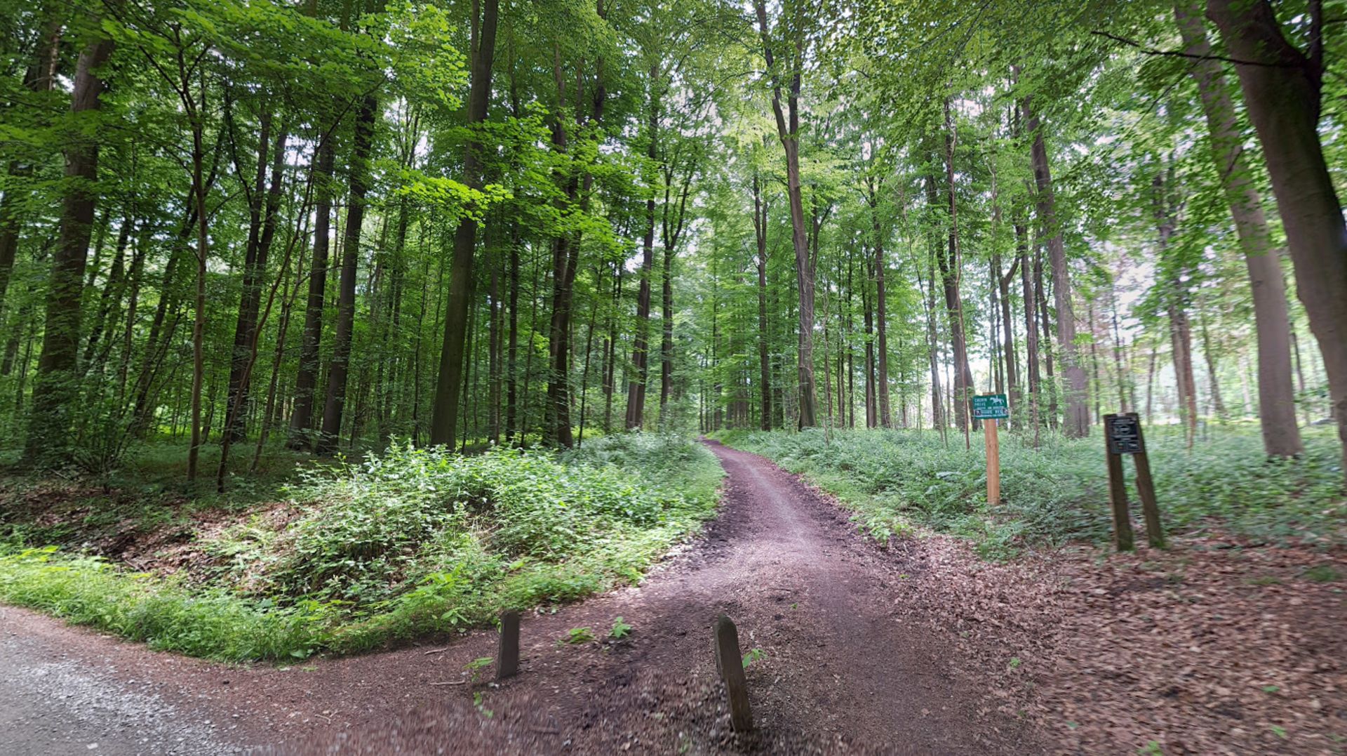 Le point le plus haut de la région Bruxelloise se trouve en forêt de ...