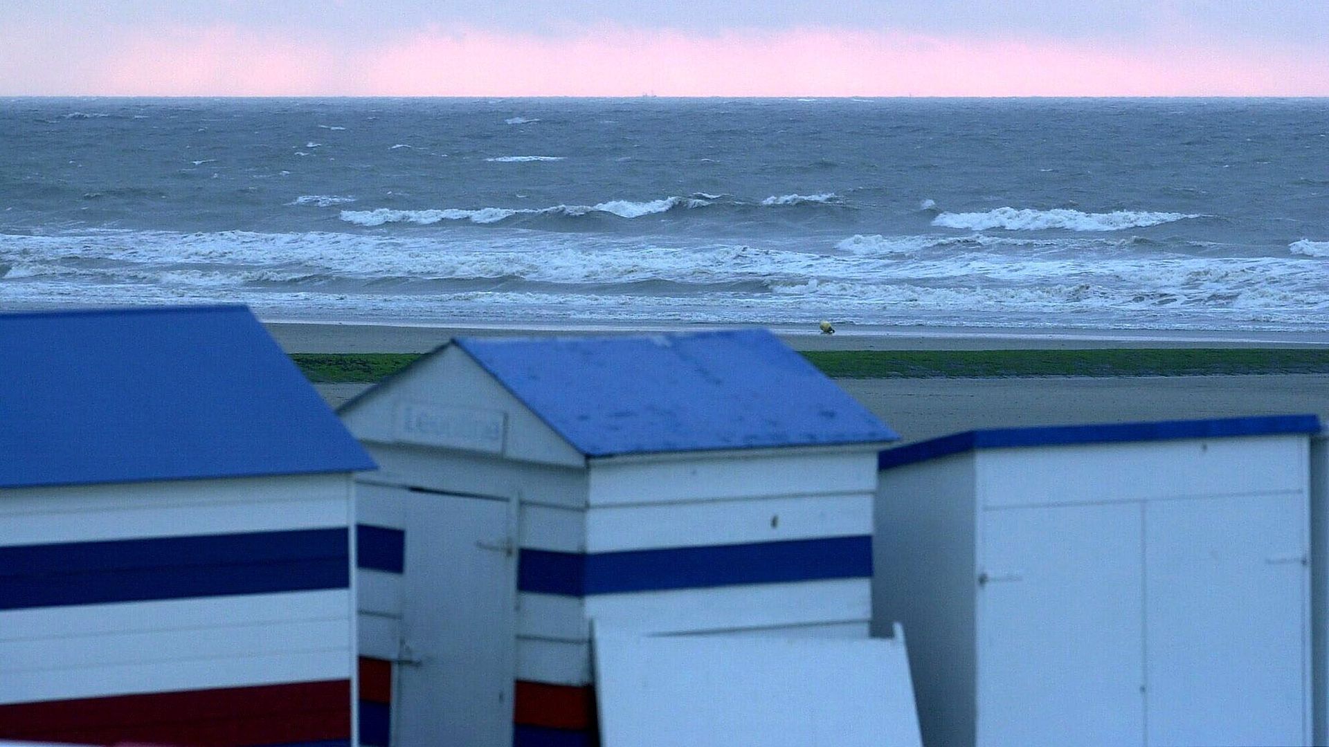 Matteo Magro et M.AGRO.BEE : Au service de la biodiversité - RTBF Actus