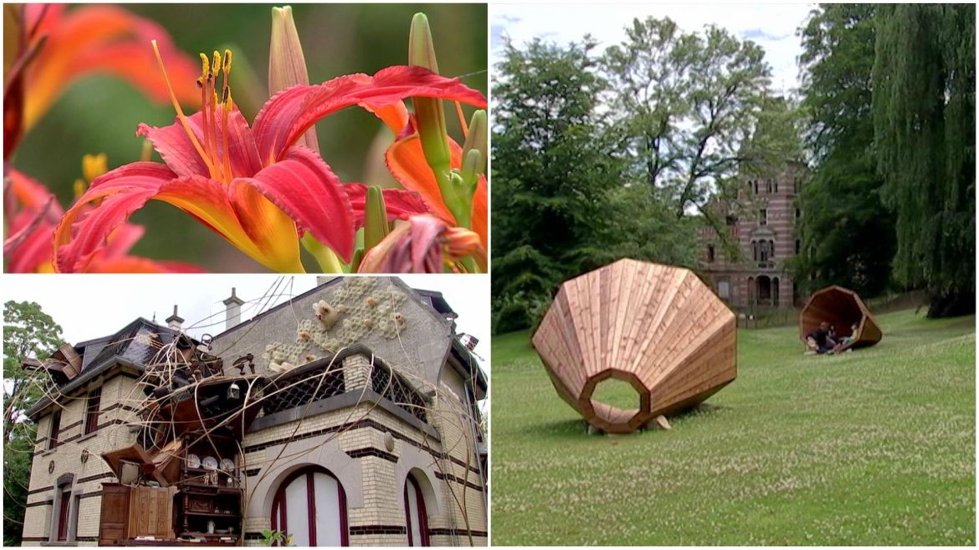 Le parc Tournay-Solvay à Watermael-Boitsfort, un incontournable pour ...