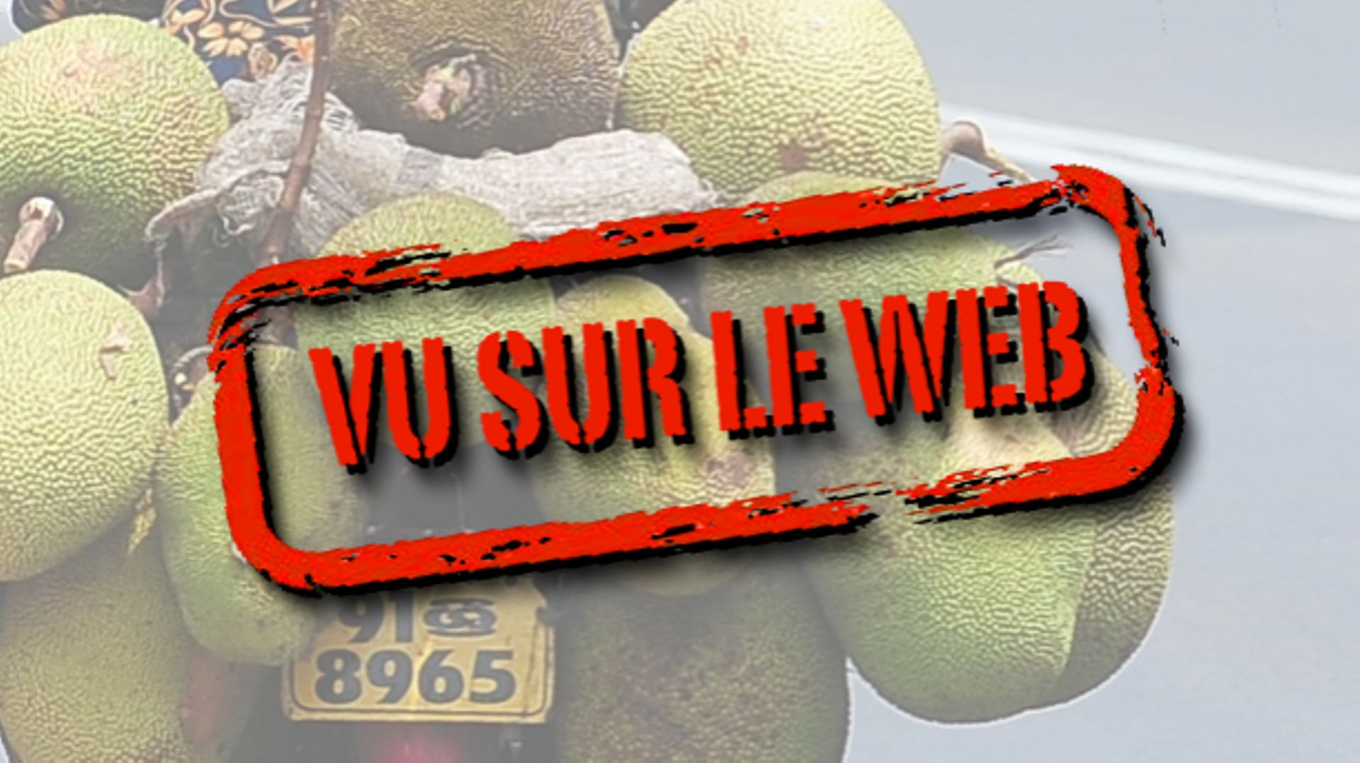 Le jaque, plus gros fruit du monde, pour contrer faim et malnutrition ...