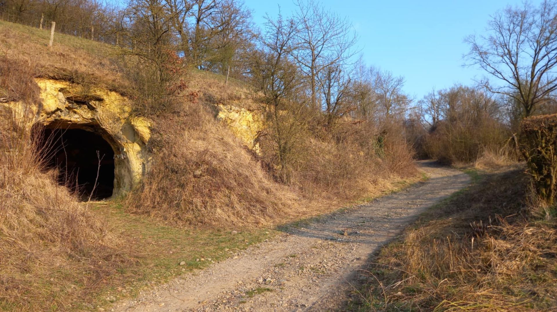 Les 25 marches Adeps du dimanche 23 mars en Wallonie - RTBF Actus