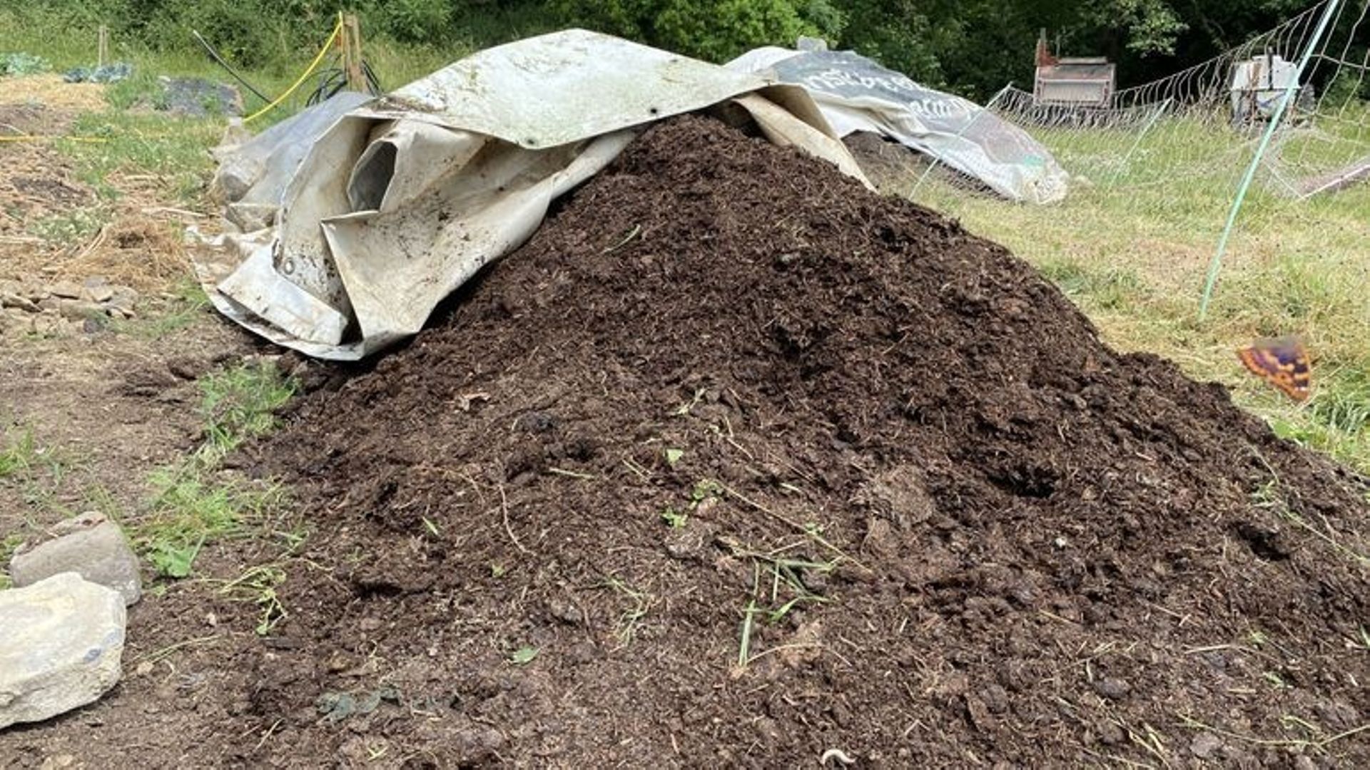 Le fumier de chèvre : la Rolls des engrais ! - RTBF Actus