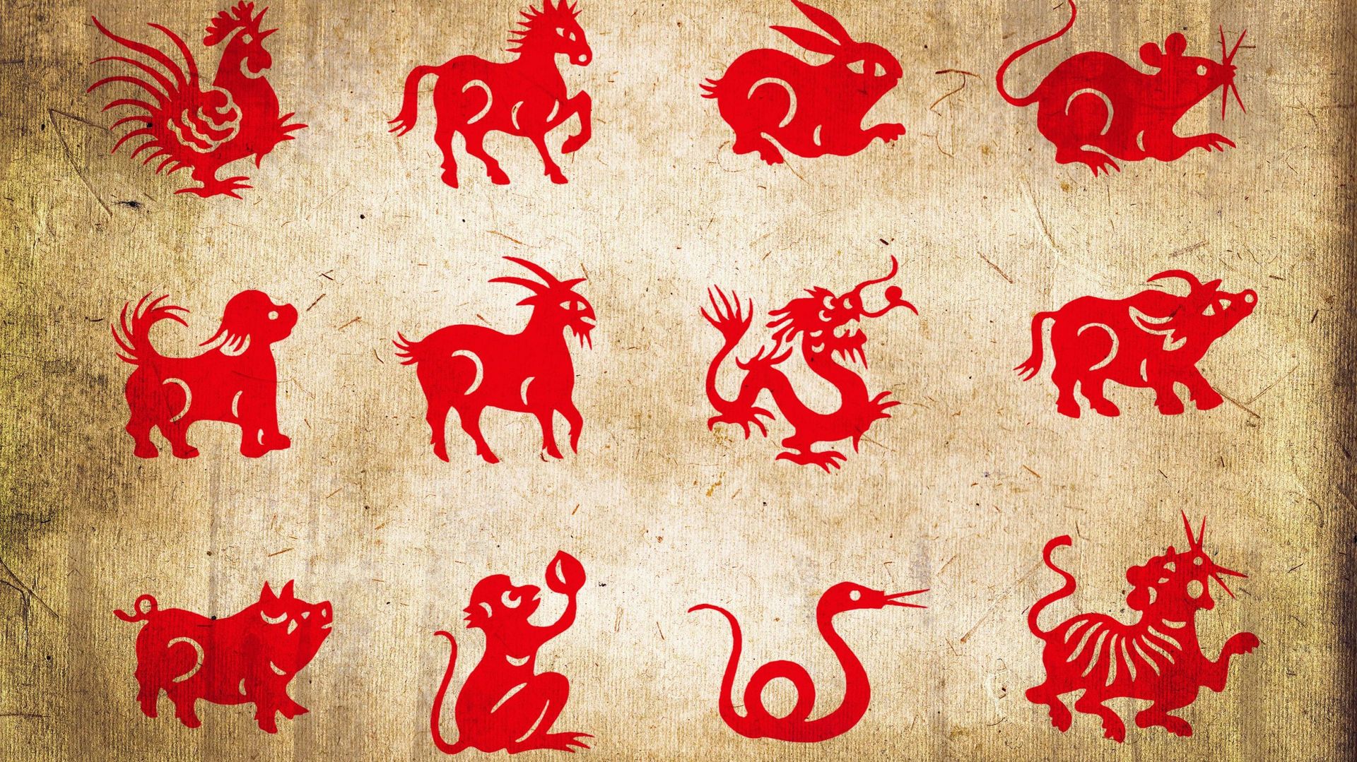 Quel signe chinois vous correspond ? - RTBF Actus