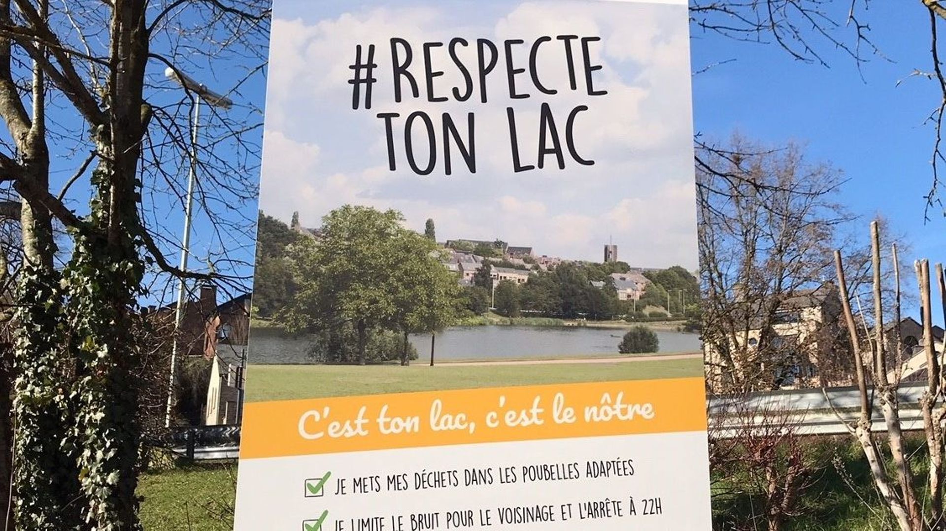 Louvain-la-Neuve: le sauvetage de milliers de poissons avant la mise en ...