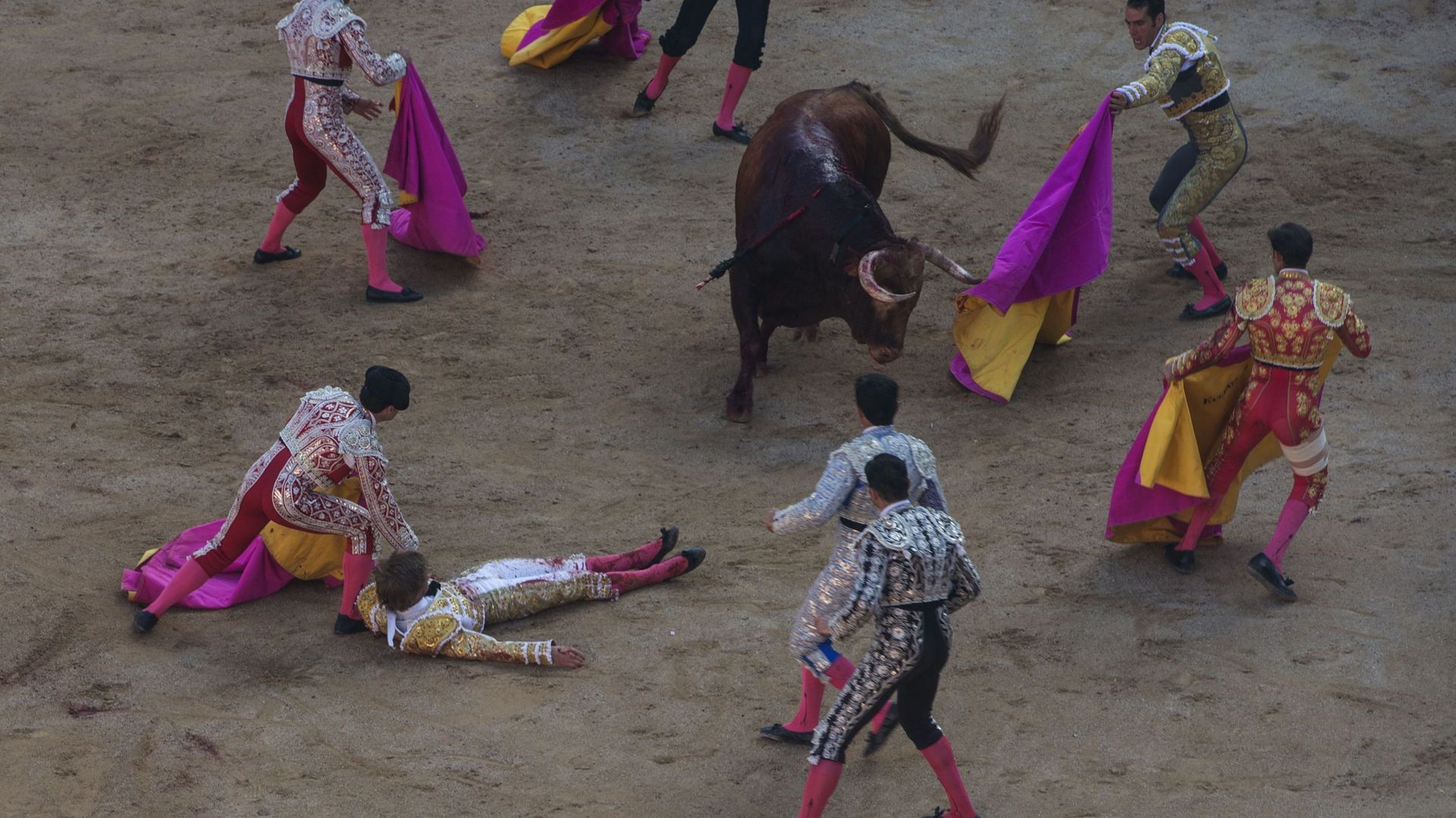 Décès d'un matador lors d'une corrida en Espagne, le premier de ce ...