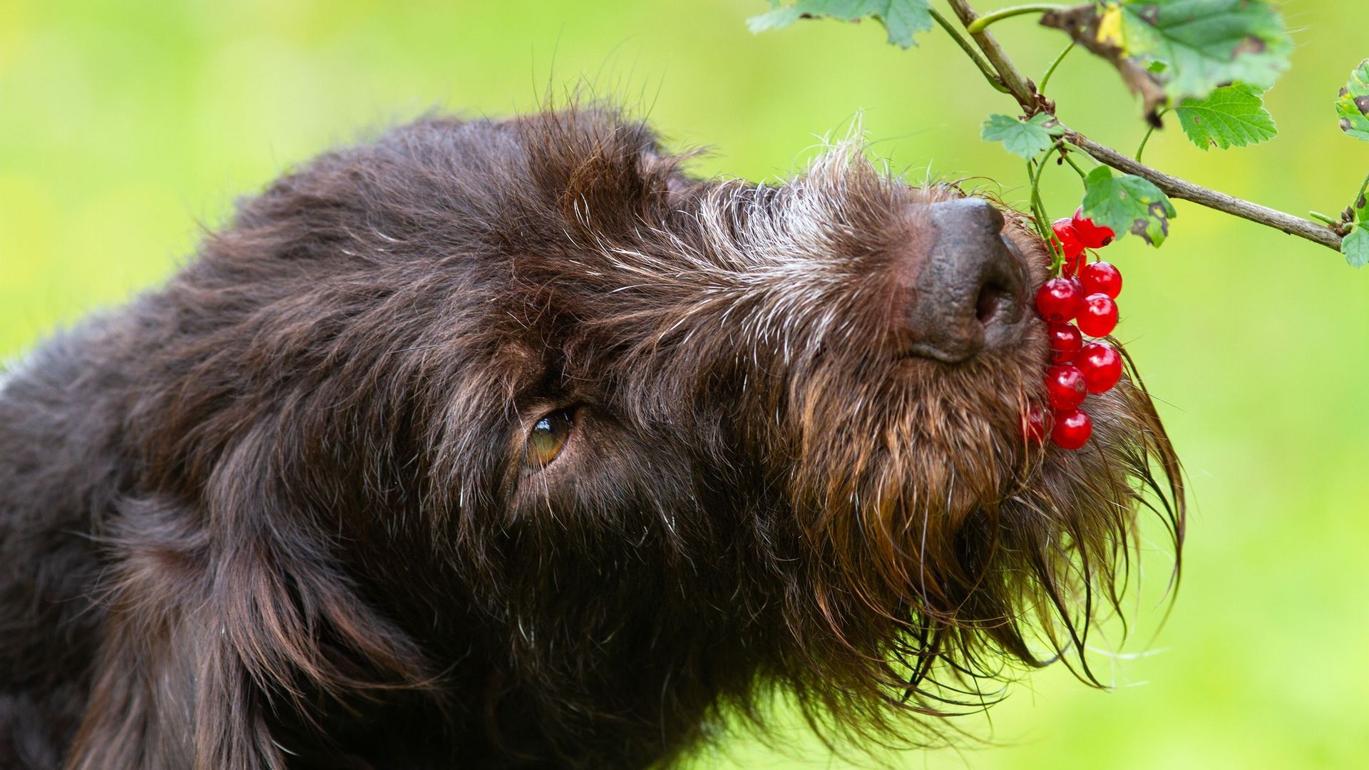 Le jus d’orange est-il un poison pour la santé ? - RTBF Actus