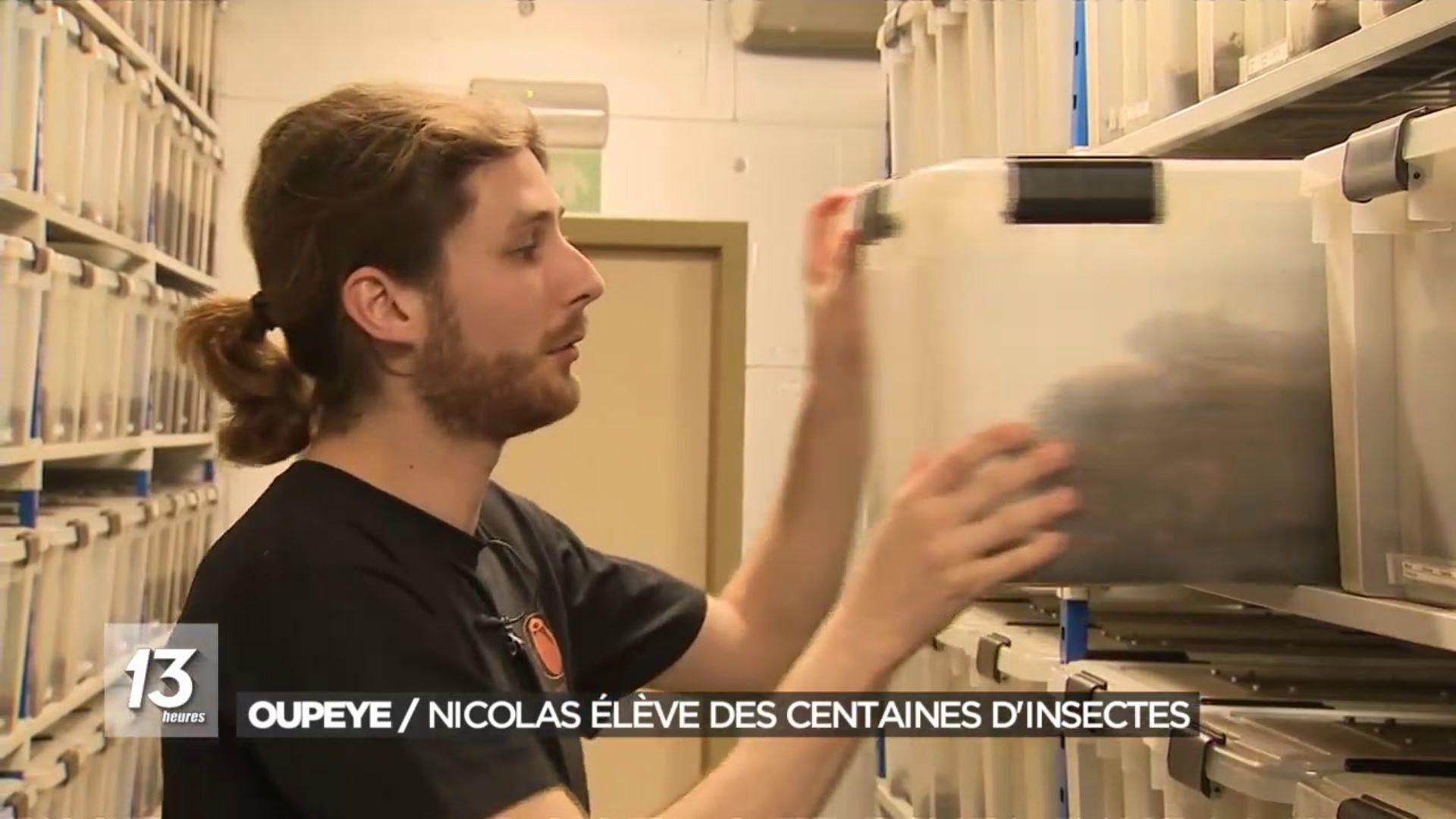 De passion à profession : Nicolas a fait des blattes et des cafards son ...