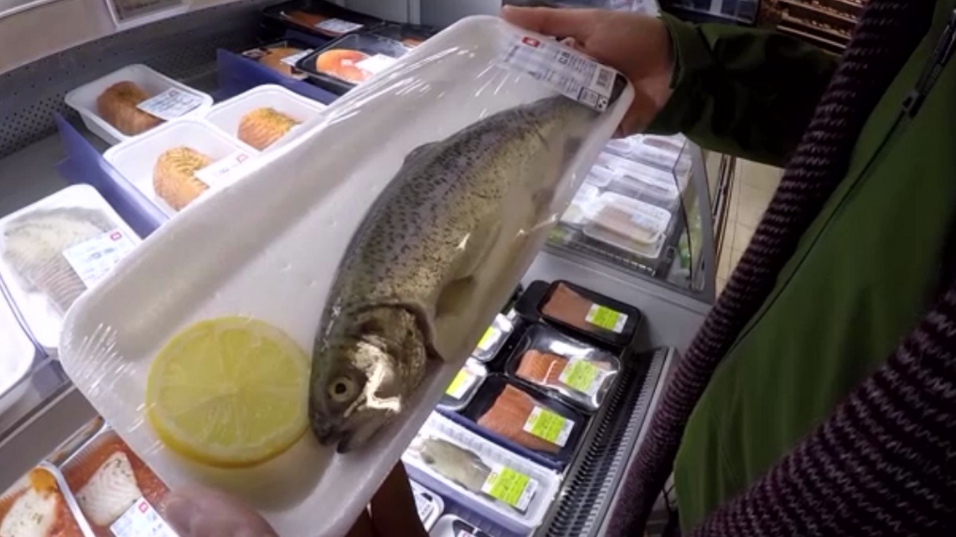 Comment bien acheter un poisson durable ? - RTBF Actus