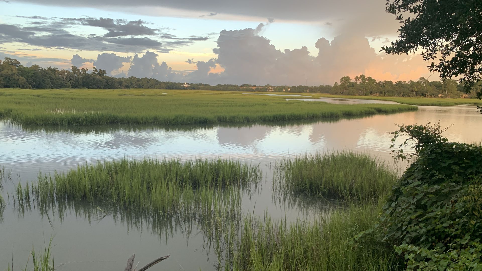 Semaine de la biodiversité : Natagora et le WWF demandent aux pouvoirs ...