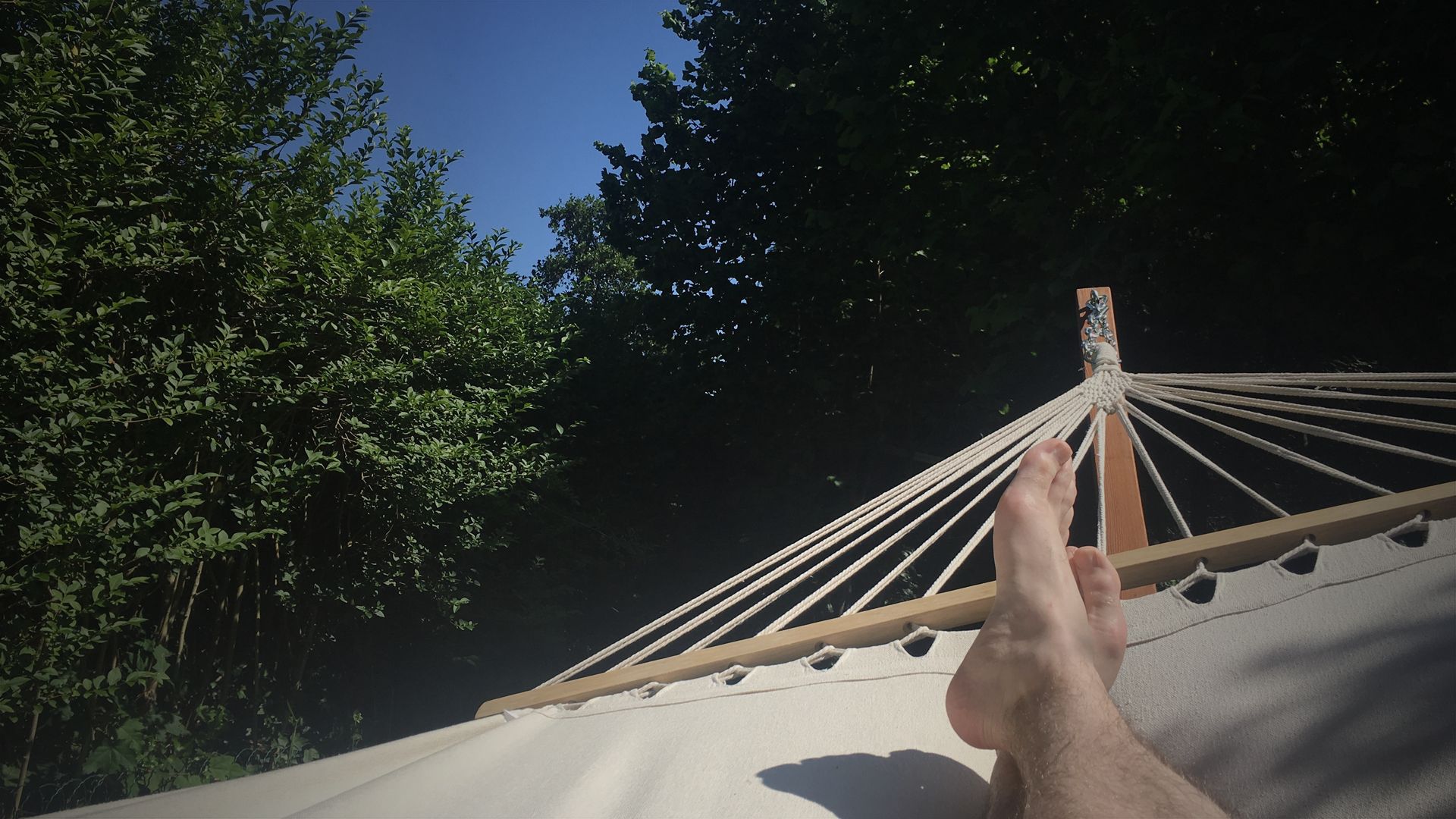 Louis : 'La Flandre est riche et la Wallonie est un désastre !' - RTBF ...