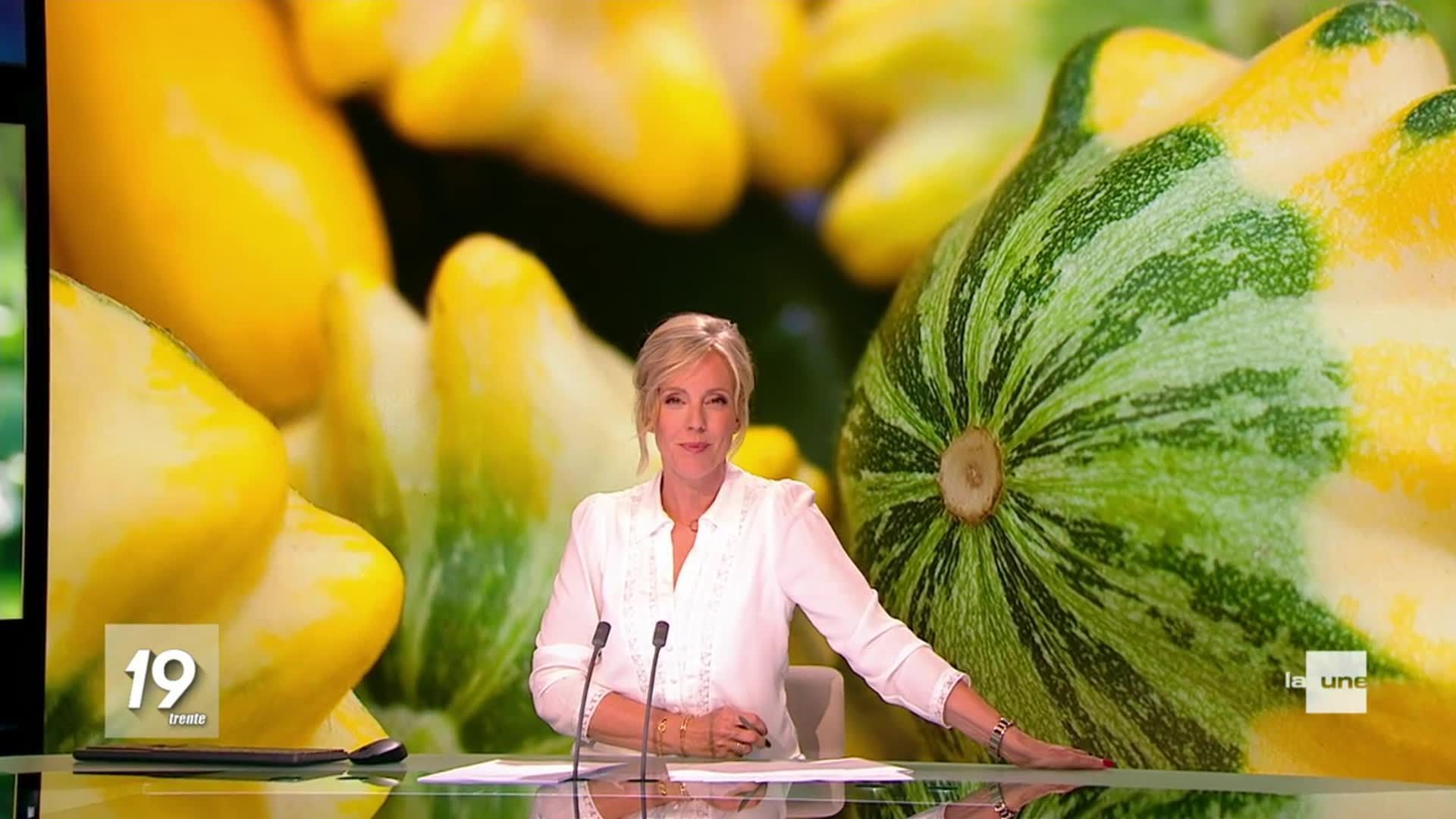 Le chicon, un légume d’hiver aux nombreux bienfaits pour la santé ...