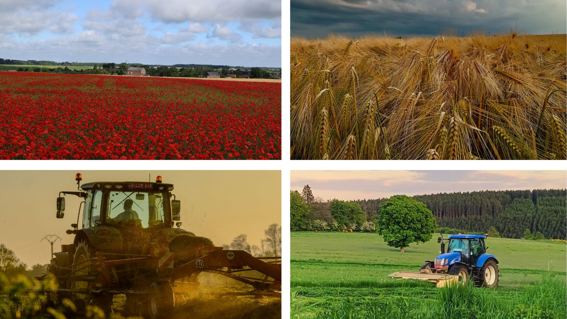 Novinha video telegram this was my first occasion trying